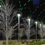 Lighting - Atlas Lighting Products